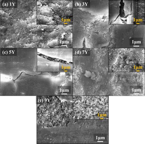 Scanning Electron Micrographs Sem Of The Wear Surface Morphologies On