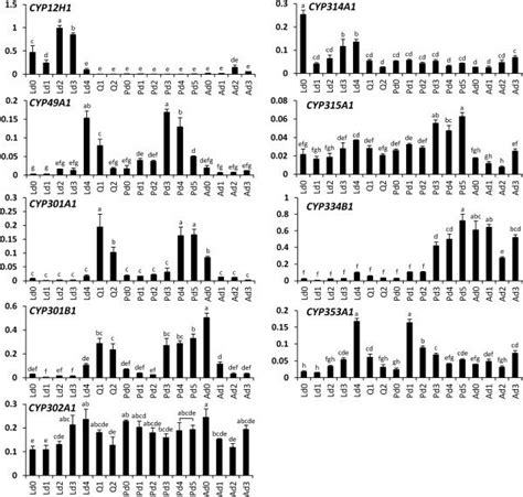 Temporal Expression Patterns Of T Castaneum Mitochondrial Cyps The