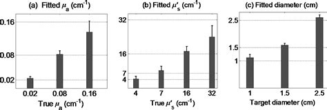 Two Step Reconstruction Method Using Global Optimization And Conjugate Gradient For Ultrasound