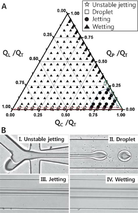 The Flow Patterns Generated In The Microfluidic Device A