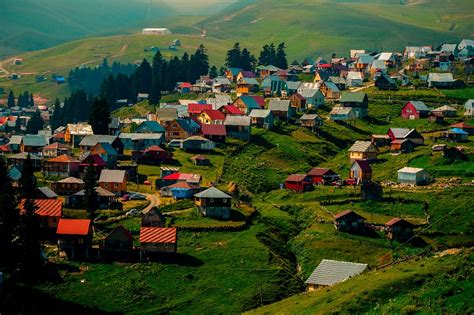 კოტეჯი ბეშუმი Visitajara