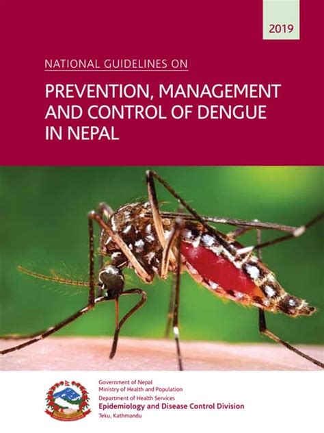 Dengue Guidelines Pdf