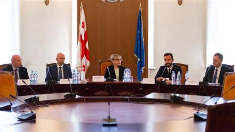 უზენაეს სასამართლოს სტრასბურგის სასამართლოს დელეგაცია ეწვია Netgazeti