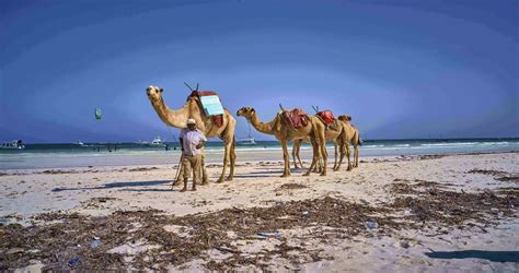 Diani Beach Attractions