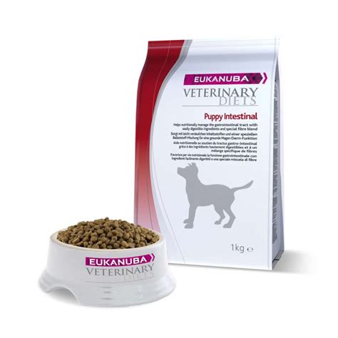 Eukanuba Veterinary Diets Puppy Intestinal 1 kg | Livraison rapide