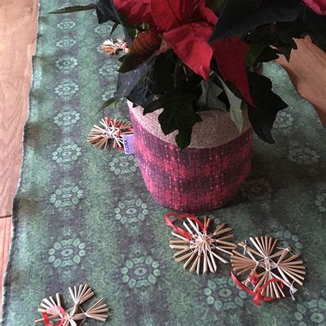 Flax Root Pattern • Discover Flora Ls Plant Microscopy Pattern