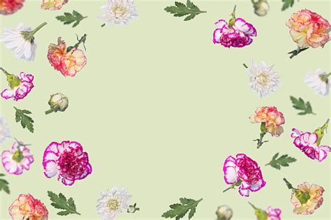 봄이나 여름 레이아웃과 다양한 다채로운 비행 꽃과 밝은 녹색 배경 트렌디 한 꽃 프레임에 잎 0명에 대한 스톡 사진 및 기타