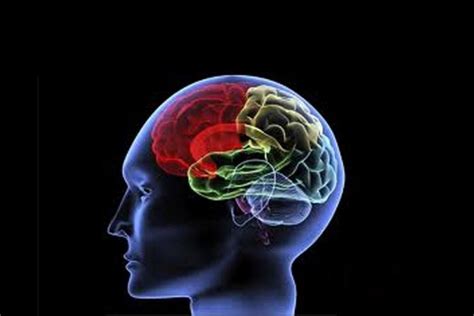 Mengenal Terapi Dbs Untuk Penderita Distonia Dan Sindrom Tourette