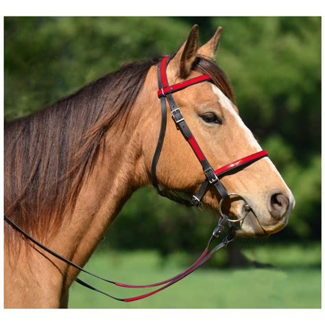 Buy Picnicsimple Halter Bridle Two Horse Tack