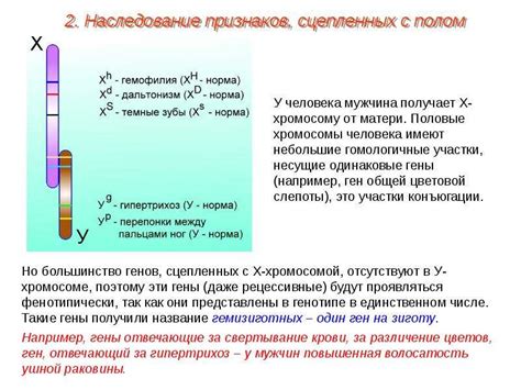 Скачать презентацию для класса ГЕНЕТИКА ПОЛА бесплатно