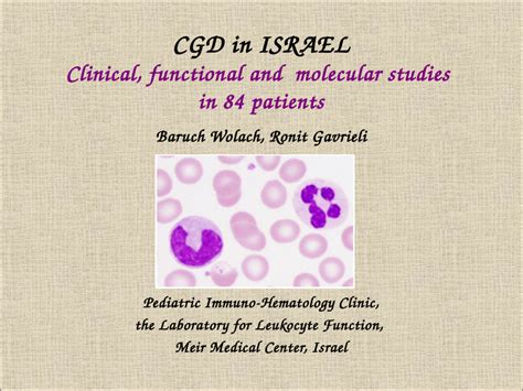 Pdf Chronic Granulomatous Disease Clinical Functional Molecular