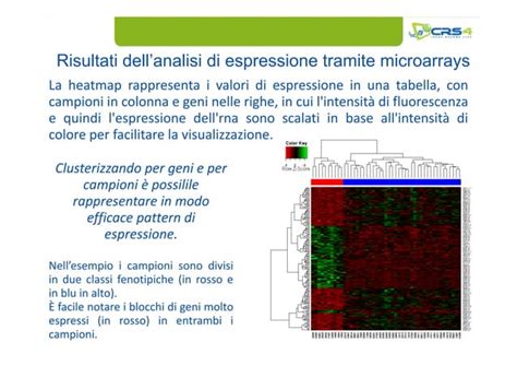 High Throughput Genotyping E Next Generation Sequencing Pdf Diseases And Conditions