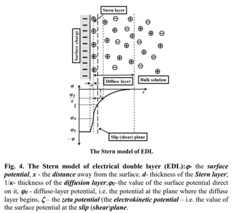 Lab 7 Electrokinetic Potential Of Cells Flashcards Quizlet