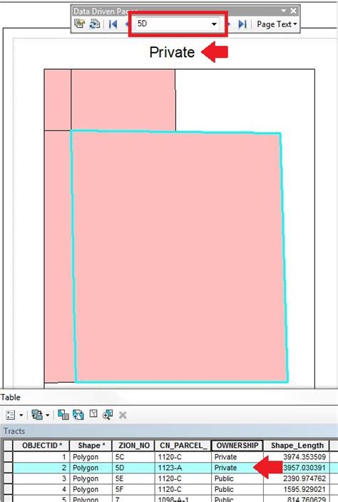 How To Insert Dynamic Text Based On Values From A Features Attribute