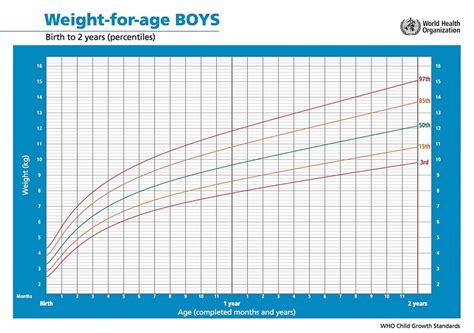 Fetal Growth Chart Percentile