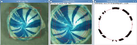 Clonaltools Imagej Documentation Wiki