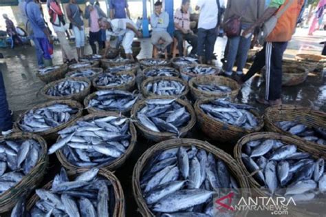 Pemkab Karawang Kembangkan Kawasan Pengolahan Ikan Pindang Jabar