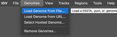 Lesson Reference Genomes And Genome Annotations Used In RNA Sequencing Bioinformatics For