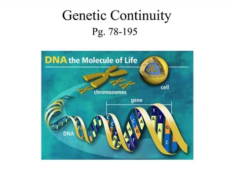 Ppt Genetic Continuity Powerpoint Presentation Free Download Id526372