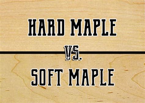 Hard Maple Vs Soft Maple What S The Difference