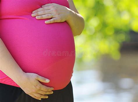 Pink Pregnant Belly Stock Image Image Of Exterior Preggers 15048529