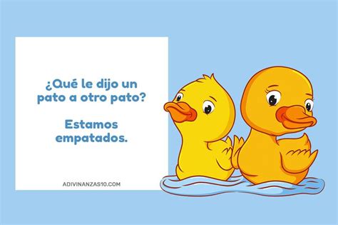 50 Chistes Para NiÑos 2022 Nuevos Cortos Graciosos Lunch Box