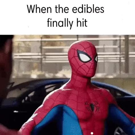 Spidey Knows Whats Up Scrolller
