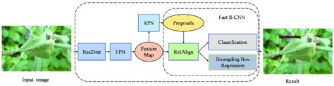 The Flowchart Of The Detection Model Using Faster R Cnn The Result