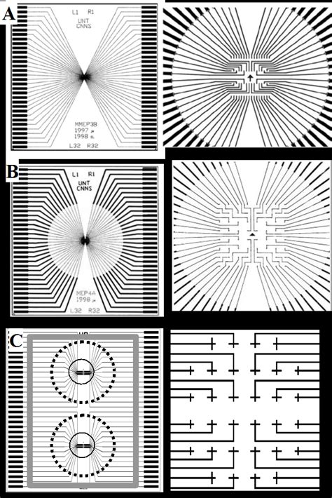 Microelectrode Array Plates In Use By The Cnns All Plates Measure 5 X