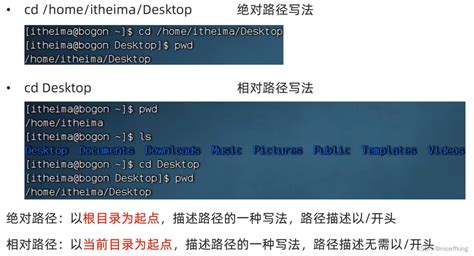 Linux常用指令和知识1当前工作目录内有一个test文件夹文件夹内有一个文件hellotxt请描述文件的 Csdn博客