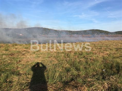 От последните минути Голям пожар в полето край Враца става опасно за лозята снимки