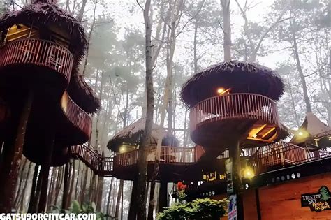 Kopeng Treetop Semarang Wisata Taman Menyenangkan