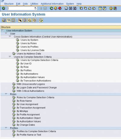 User Information System Sap Security Pages
