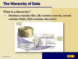 Chapter1 0 Database Management System PPT