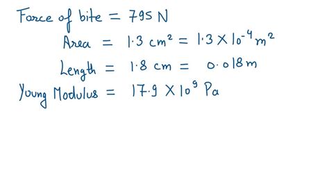 Solved Humans Can Bite With A Force Of Approximately 795 N If A Human