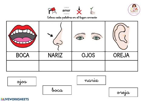 Mayúsculas Y Minúsculas Interactive Exercise Live Worksheets