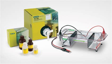 Dna Pcr And Agarose Gel Electrophoresis — Bio Rad