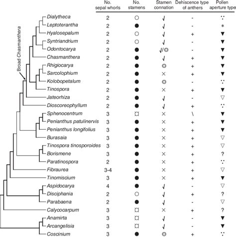 Simplified Ml Tree Generated From The Combined Cpdna And Its Data Download Scientific Diagram