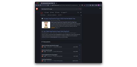 How To Use Brave Search An Overview Brave Search