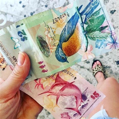 «😍Самые красивые деньги мира — Яндекс Кью