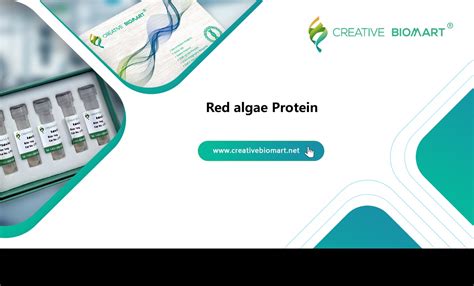 Red Algae Protein Creative Biomart
