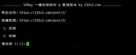 Vps Tiktok Shadowsocks V Ray