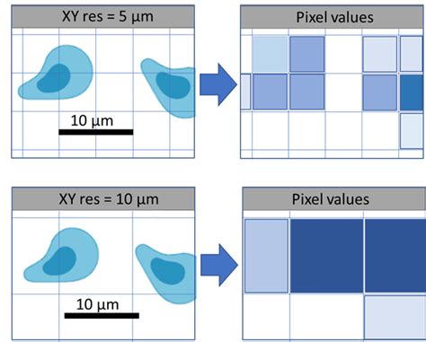 Nyquist Conditions Institute For Molecular Bioscience University Of