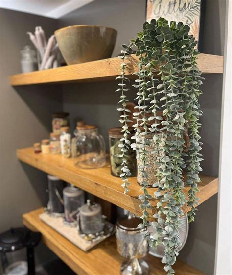 قیمت و خرید گل مصنوعی آویز شمشاد پودری ۱۴ بازو