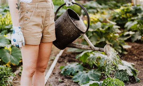 Veille Inyulface 70 Il Faut Cultiver Notre Jardin Laboratoire
