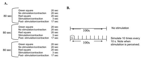 Experimental Design A Protocol Used During The Anorectal Examination