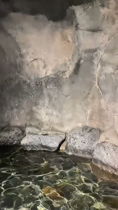 미녀 비키니 수영복 도끼자국 Youtube