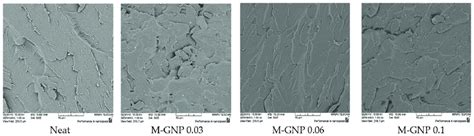 Sem Micrographs Of The Tensile Fracture Surface Download Scientific