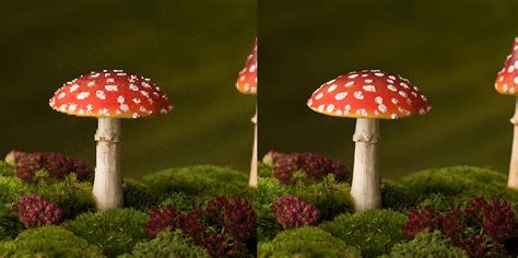 Jpeg Compression Artifacts