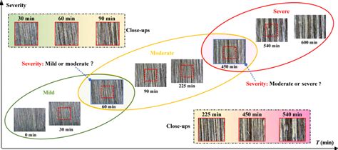 Fuzziness Of Wear Severity Assessment For Worn Surfaces In A Transition
